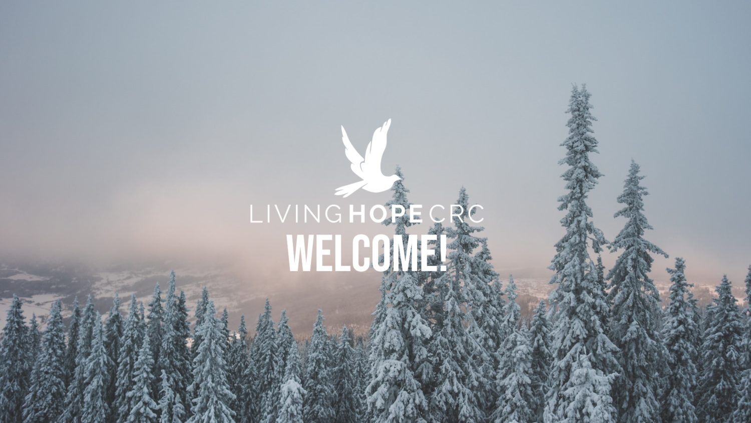 Living Hope CRC